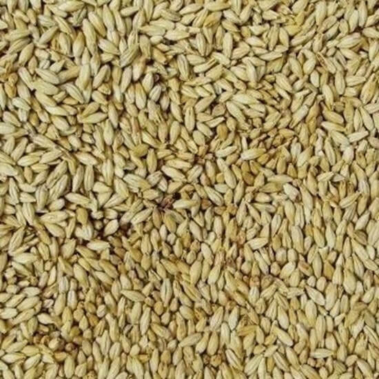 Voyager Vienna Malt 100G