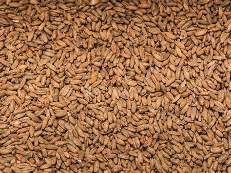 Medium Crystal Malt 100G