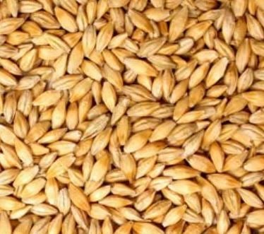 Voyager Veloria Malt 100g
